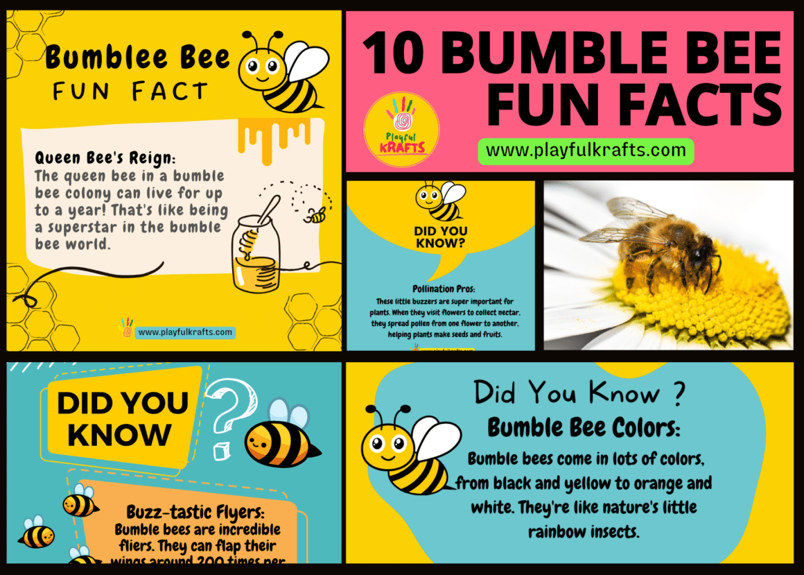 Buzzing with Fun: 10 Bumble Bee Facts Every Kid Should Know - Playful ...