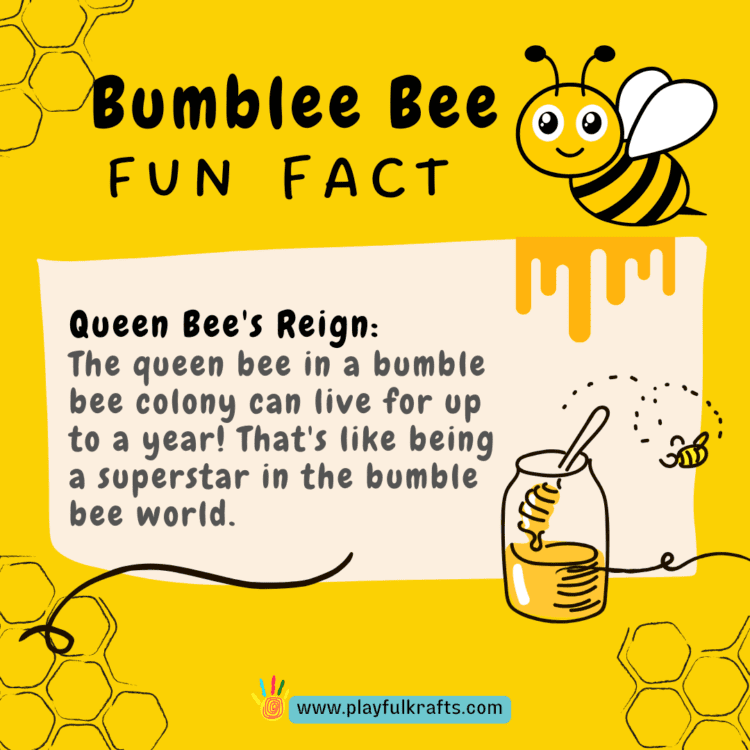 Buzzing with Fun: 10 Bumble Bee Facts Every Kid Should Know - Playful ...