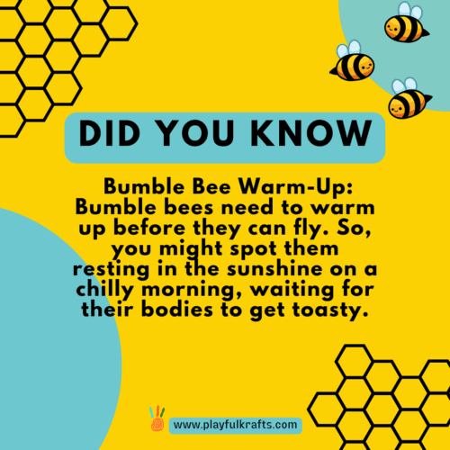 Buzzing with Fun: 10 Bumble Bee Facts Every Kid Should Know - Playful ...