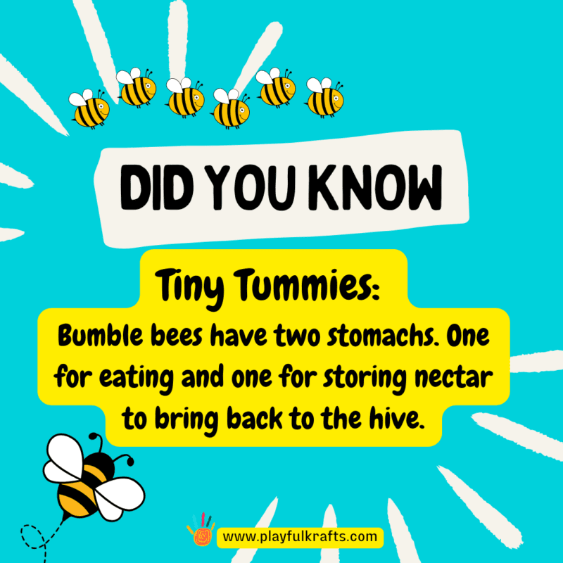 Buzzing with Fun: 10 Bumble Bee Facts Every Kid Should Know - Playful ...