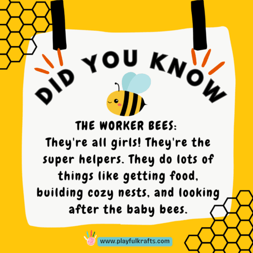 Buzzing with Fun: 10 Bumble Bee Facts Every Kid Should Know - Playful ...